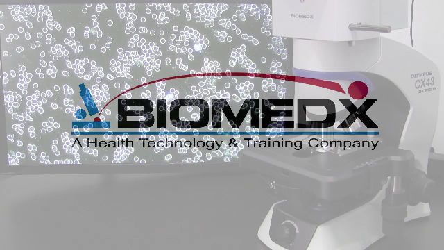 显微镜| Biomedx皇冠体育官网